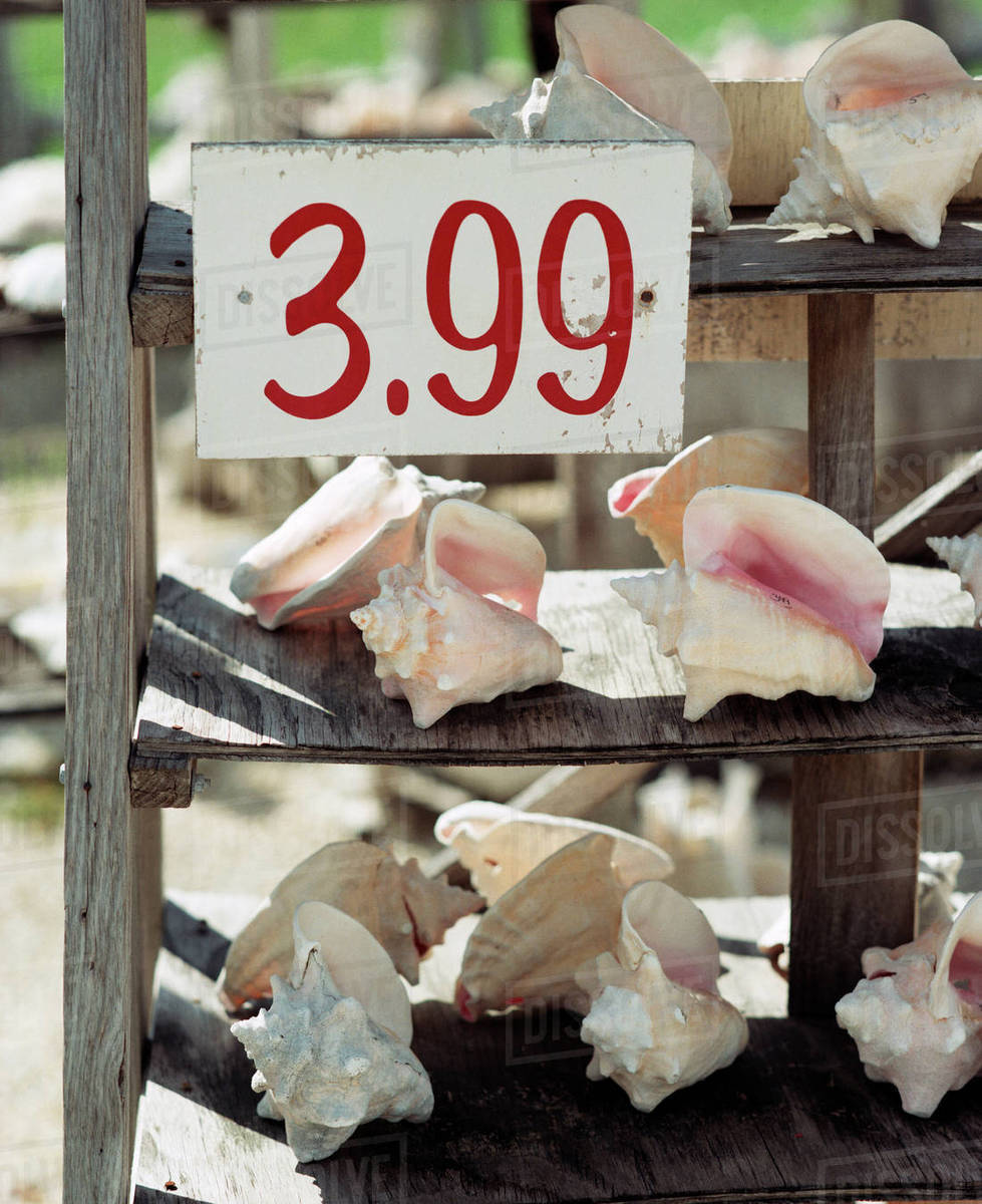 Price tag on shelf with shells - Royalty-free Stock Photo | Dissolve