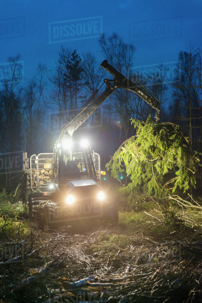 Logging vehicle carrying timber - Stock Photo - Dissolve