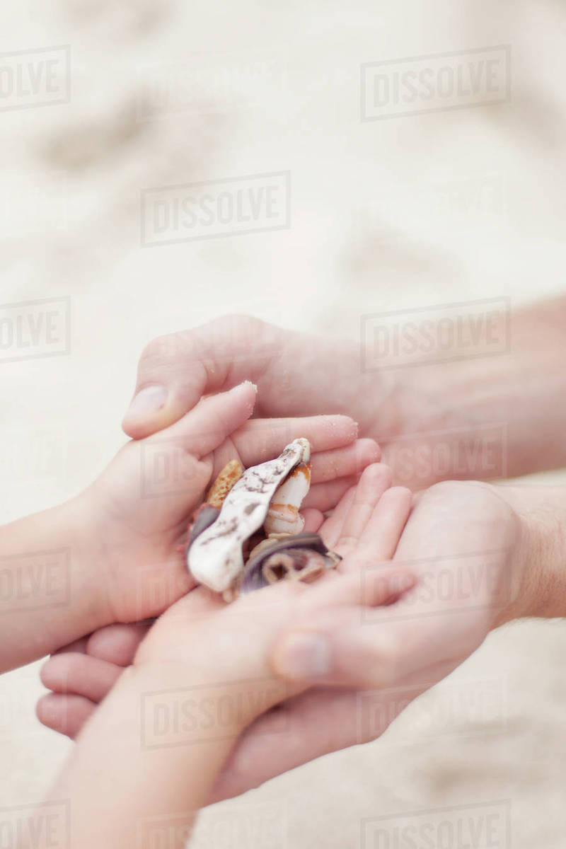 Child handling shells to mother - Stock Photo - Dissolve