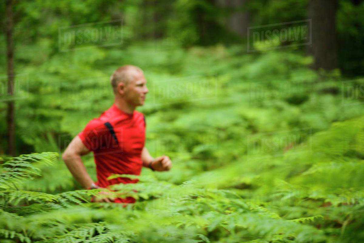 Young man running through forest - Royalty-free Stock Photo | Dissolve