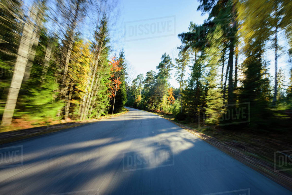 Road going through forest - Stock Photo - Dissolve