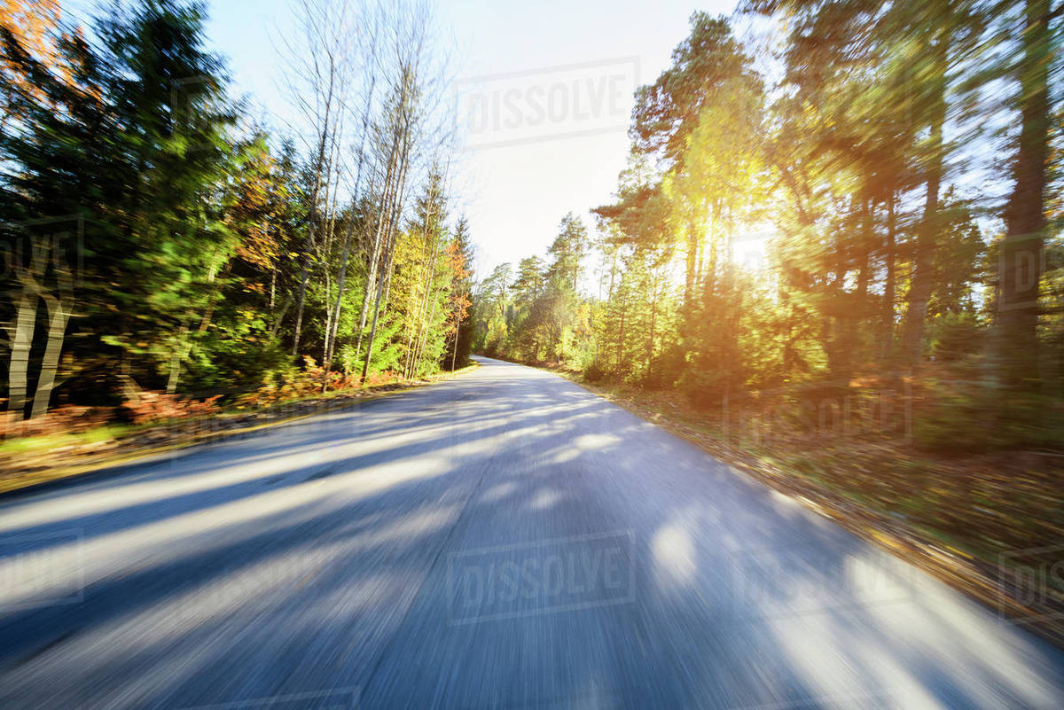 Road going through forest - Royalty-free Stock Photo | Dissolve