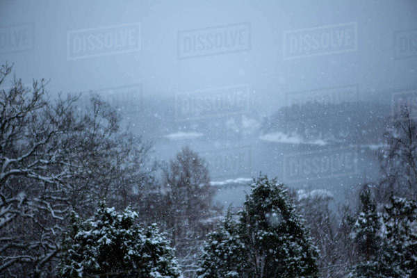 Falling snow - Royalty-free Stock Photo | Dissolve