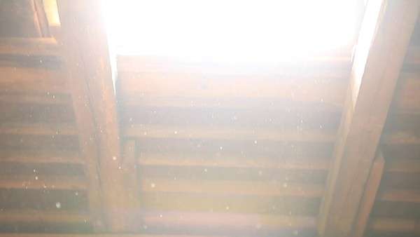 A raise to sun light on light ray with particles - Stock Video Footage ...