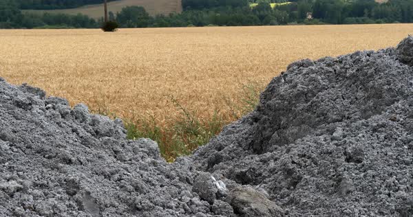 Sewage Sludge that will be used for Spreading in the Agricultural ...