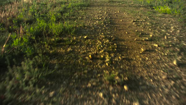 Camera moving along dirt path - 4K Royalty-free Stock Video Footage ...
