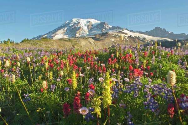 Horizontal,Landscape - Stock Photo - Dissolve