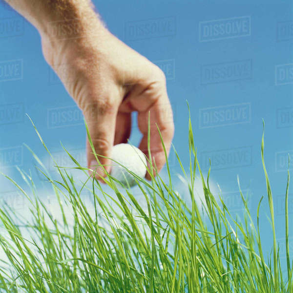 Hand Lifting Golf Ball From Grass - Stock Photo - Dissolve