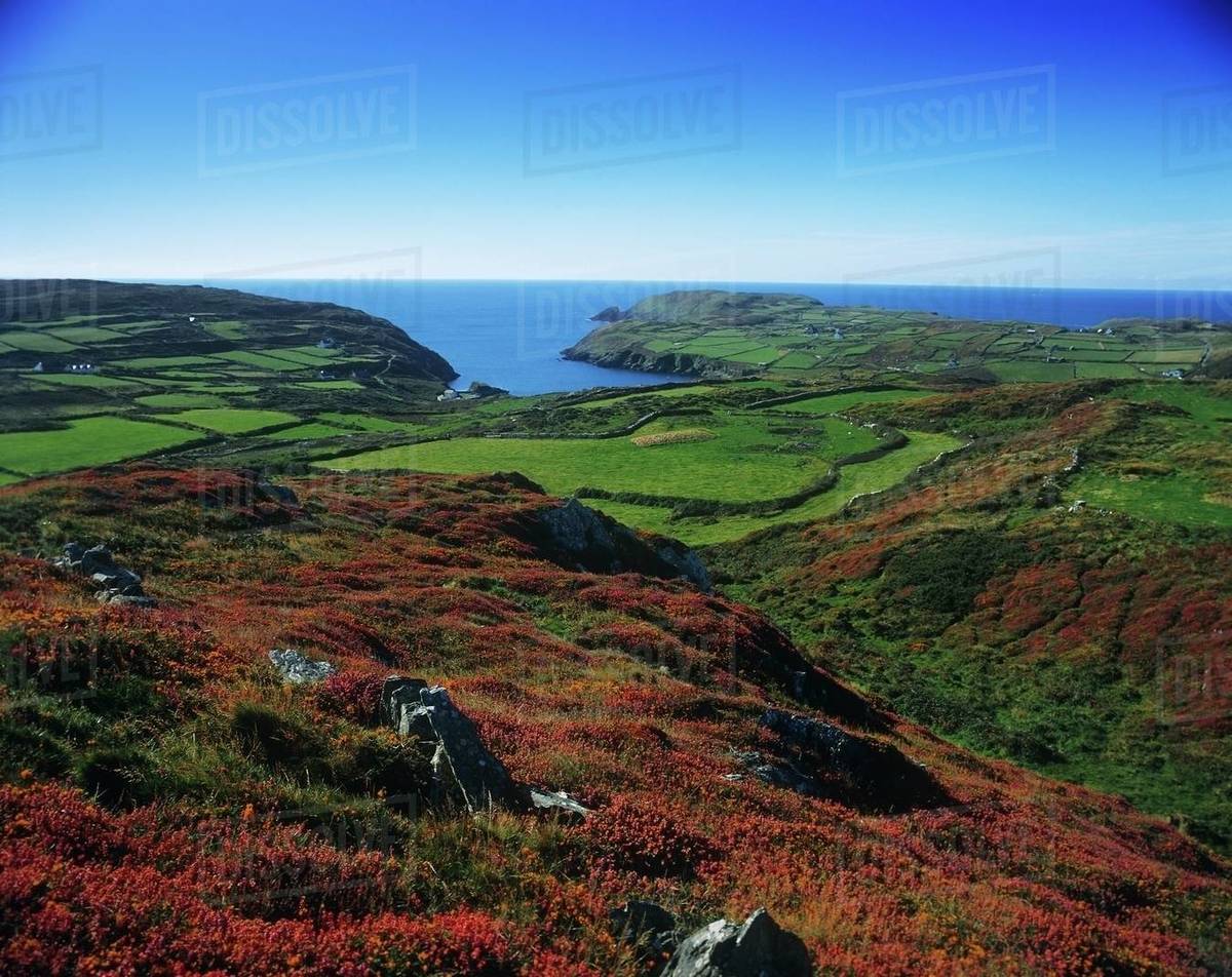 Panoramic View Of A Landscape, Clear Island, County Cork, Republic Of ...