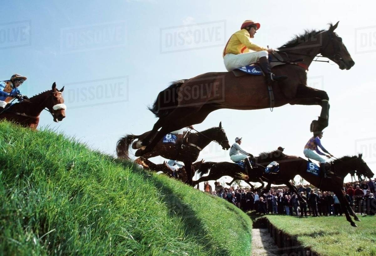 National Hunt Racing, Ireland; Side Profile Of Jockeys Riding Horses In ...