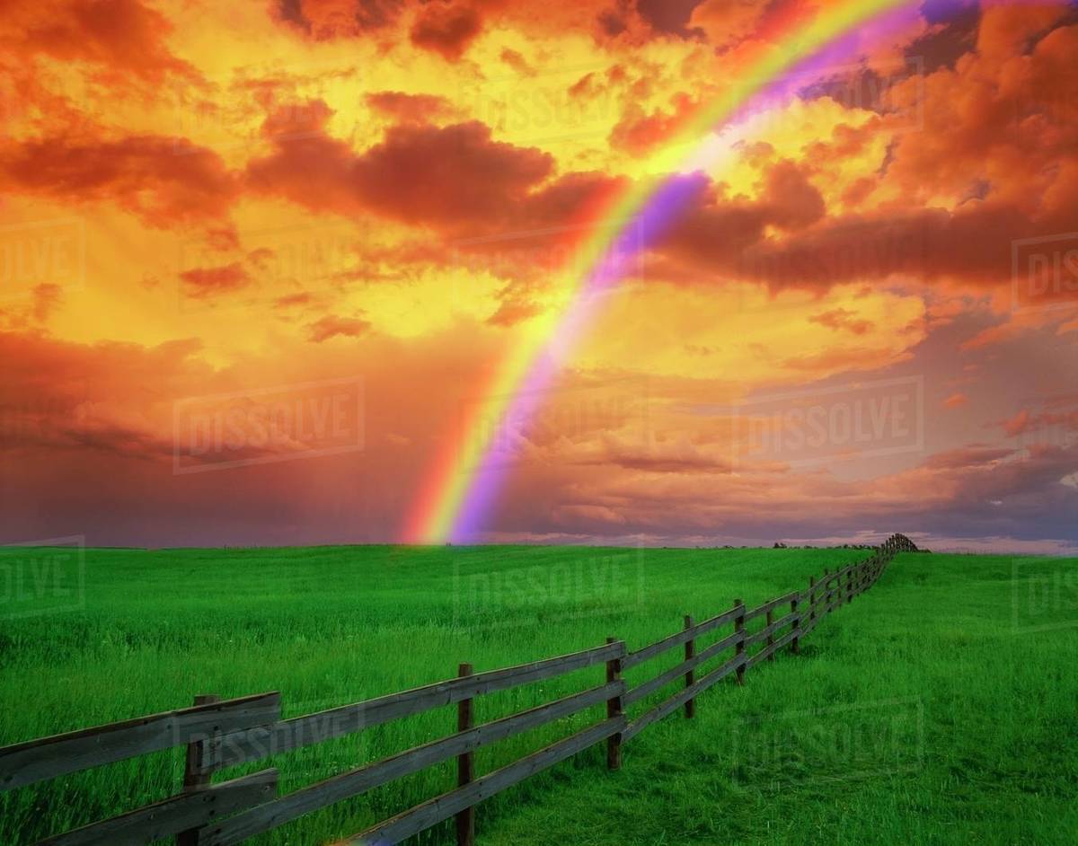Rainbow In Country Field With Gold Clouds - Stock Photo - Dissolve