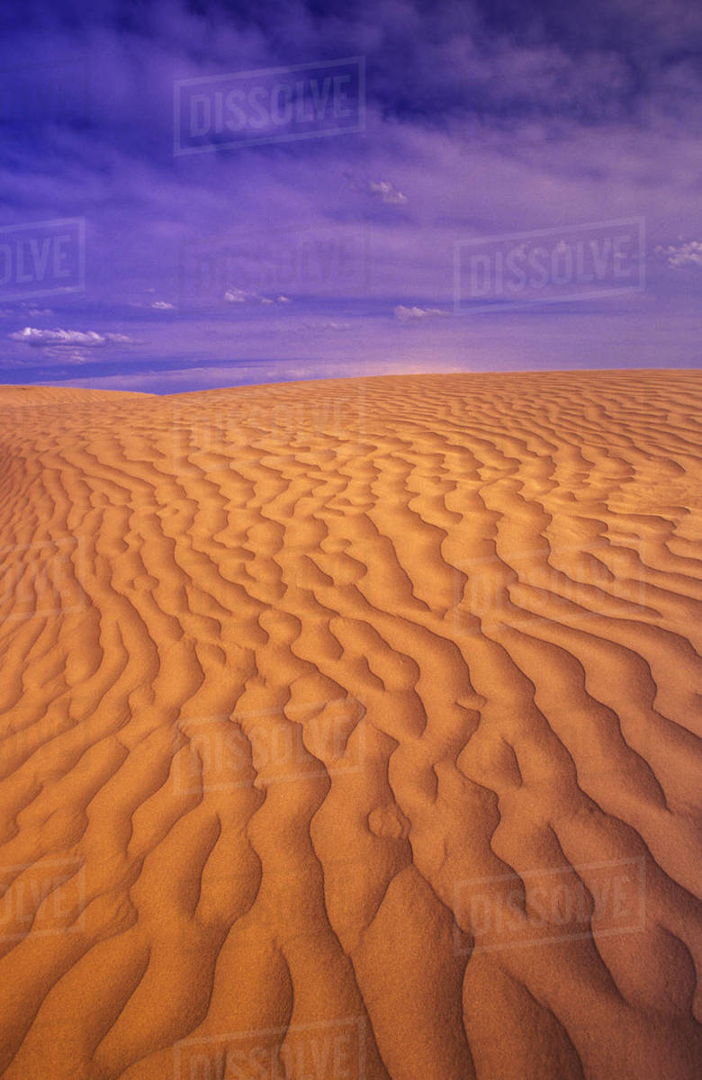 Ripples In The Sand - Stock Photo - Dissolve