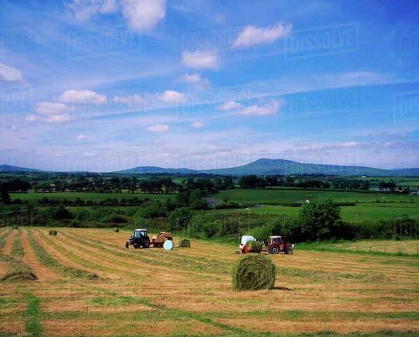 Co Carlow, Ireland; Hay Baling Near Hacketstown - Stock Photo - Dissolve