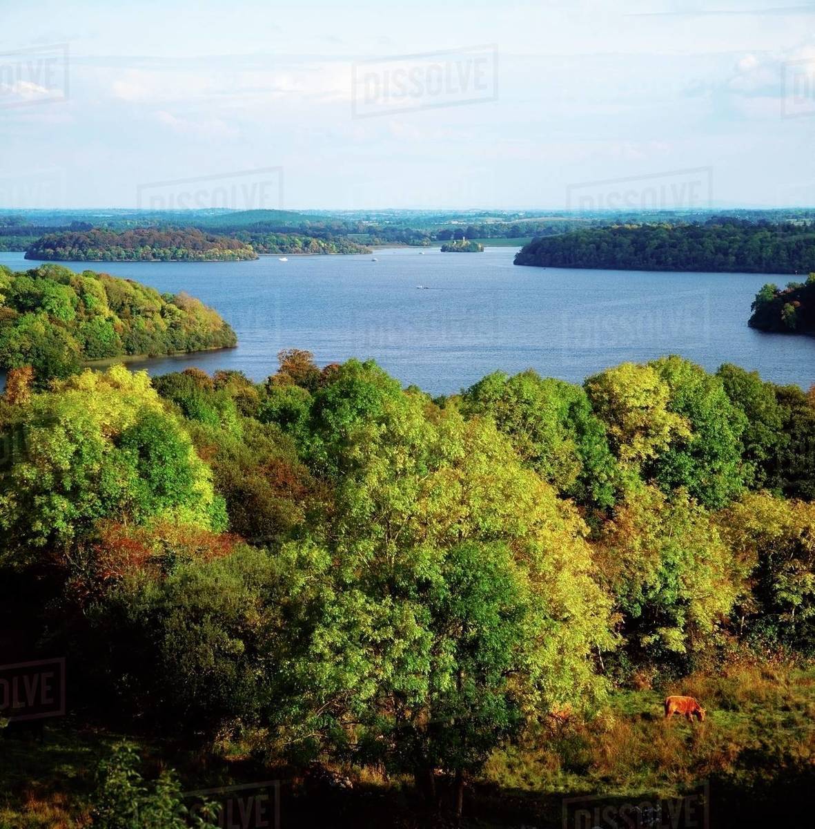 Castle Island, Lough Key, Co Roscommon, Ireland; Longview Of A Lake ...