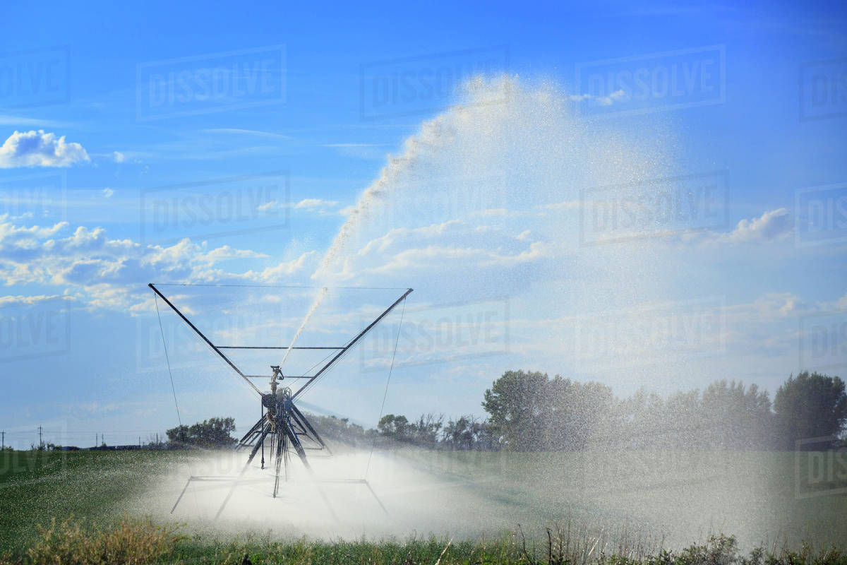 Center pivot irrigation spraying water, near Lethbridge; Alberta ...