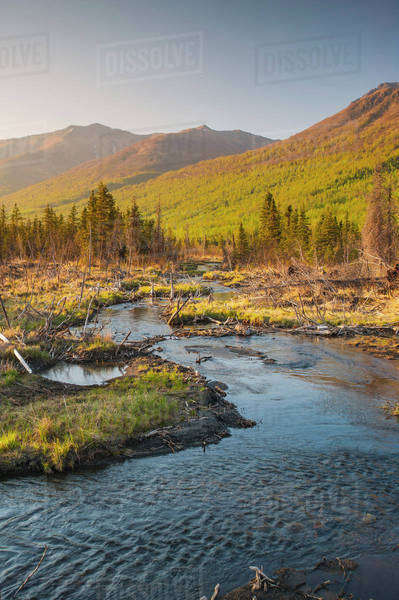 Scenic view of a stream in Eagle River Valley, Chugach State Park ...