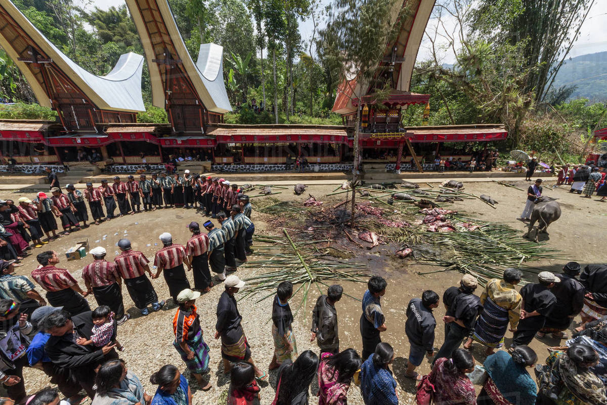 People In A Formal Funeral Procession Called Ma'passa Tedong At AA ...