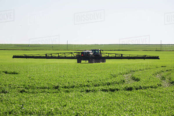 Crop Sprayer In The Field Spraying An Early Growth Wheat Crop; Alberta ...