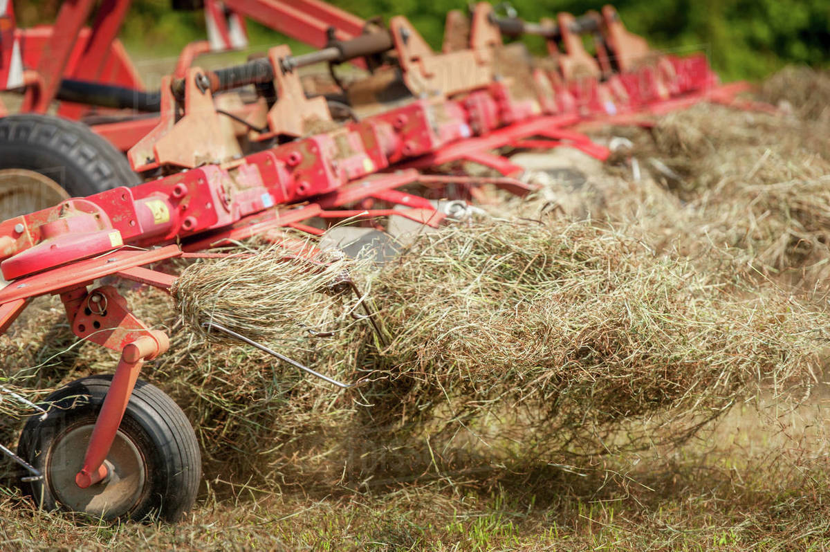 Tractor Tedding Hay; Sudlersville, Maryland, United States Of America ...
