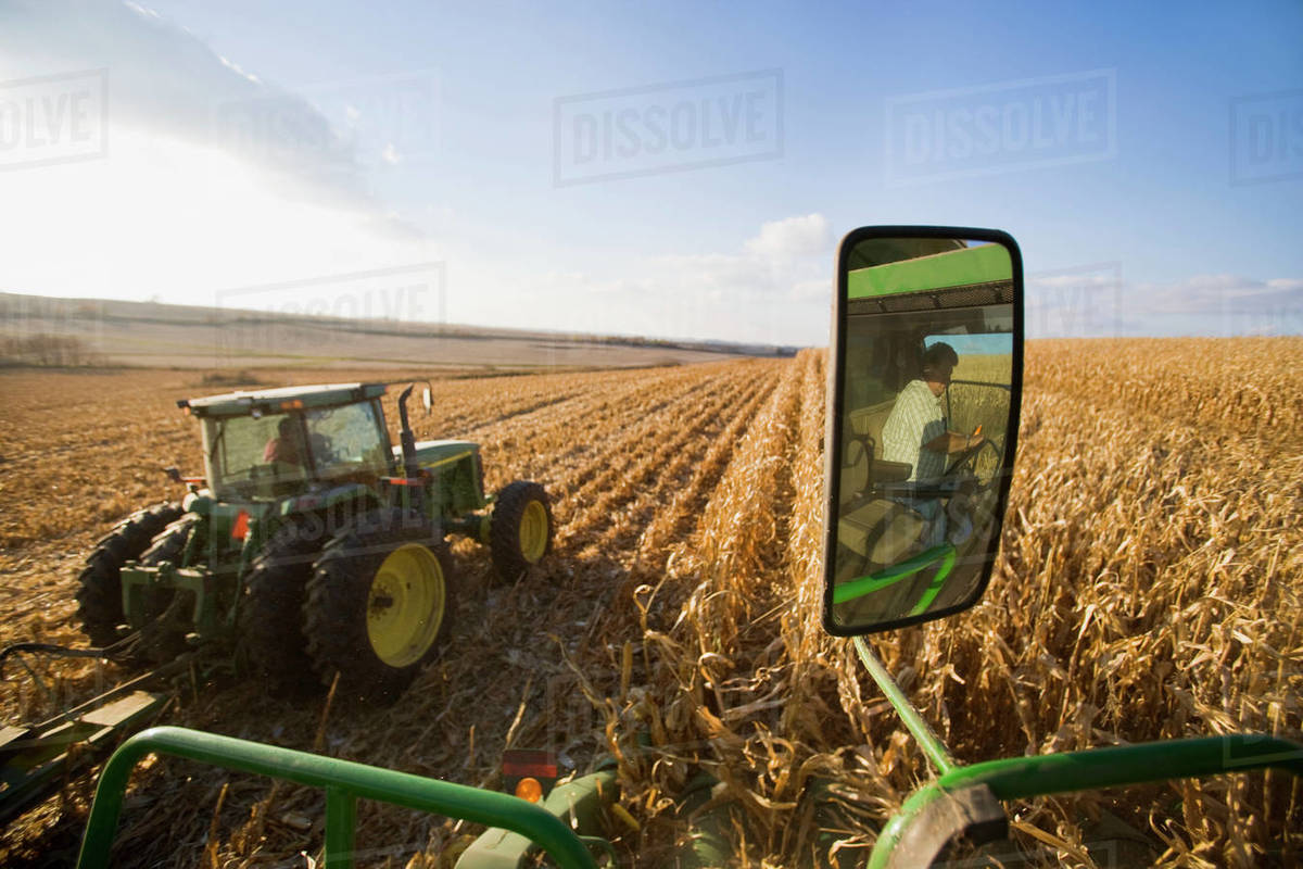 Agriculture - View of grain corn harvest from the cab of a combine ...