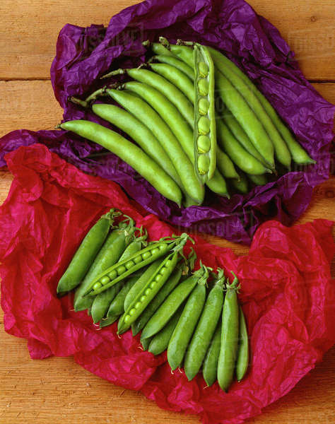 Agriculture - Produce, Fava Beans And English Peas (Version 1). - Stock ...