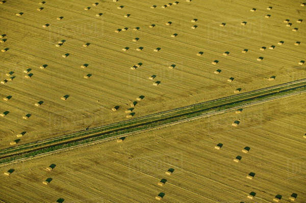 Agriculture - Aerial view of a hay field bisected by an irrigation ...
