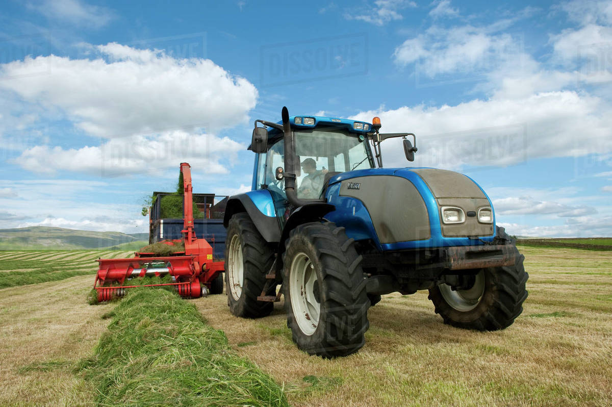 Agriculture - A tractor pulled forage harvester harvests cut and ...