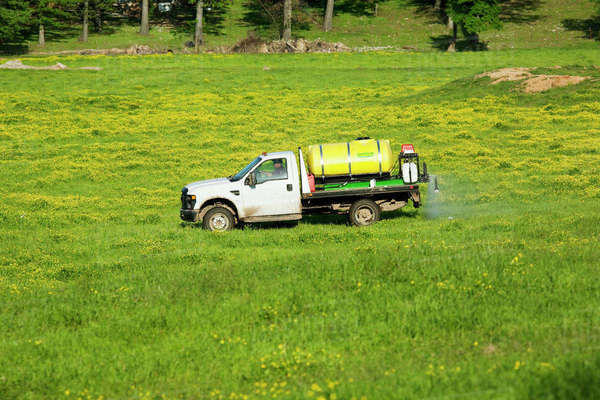 Agriculture - Spraying herbicide on a pasture used for grazing beef ...