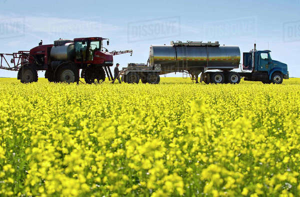 Agriculture - A farmer loads his high clearance sprayer with fungicide ...