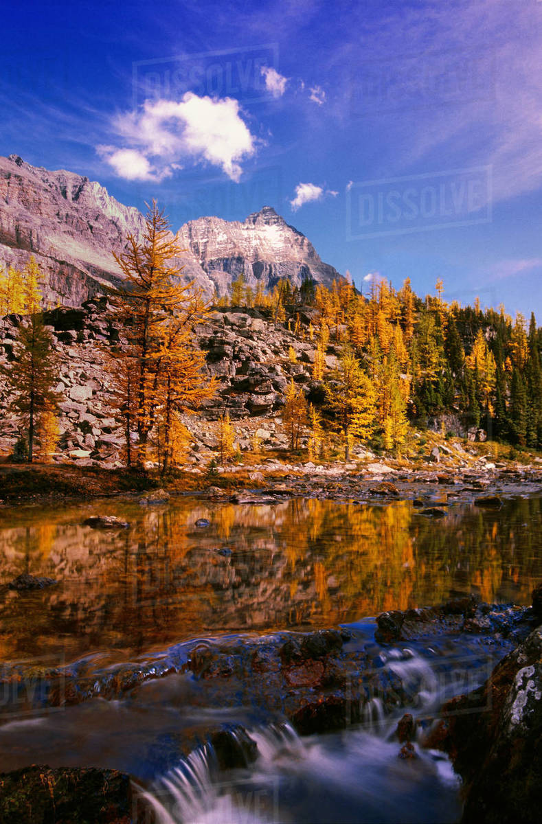 A Scenic Creek - Royalty-free Stock Photo | Dissolve