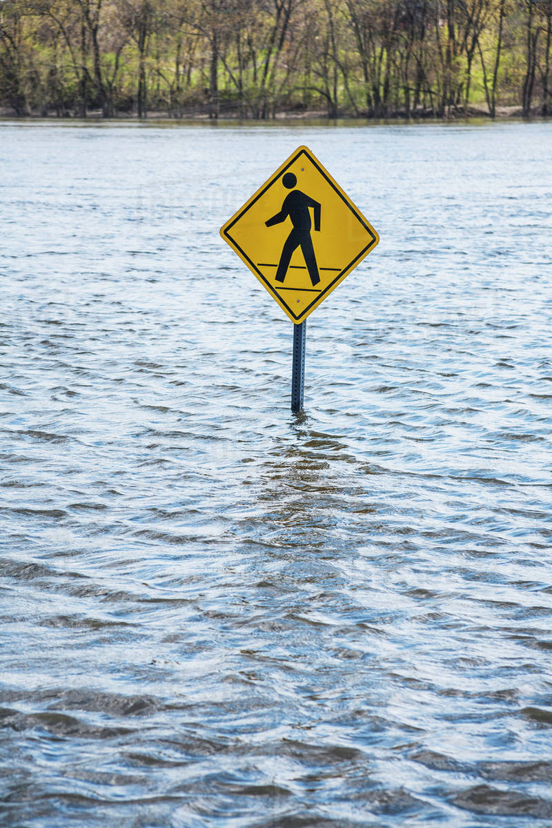 Pedestrian crossing sign in an area flooded by a river; Connecticut ...