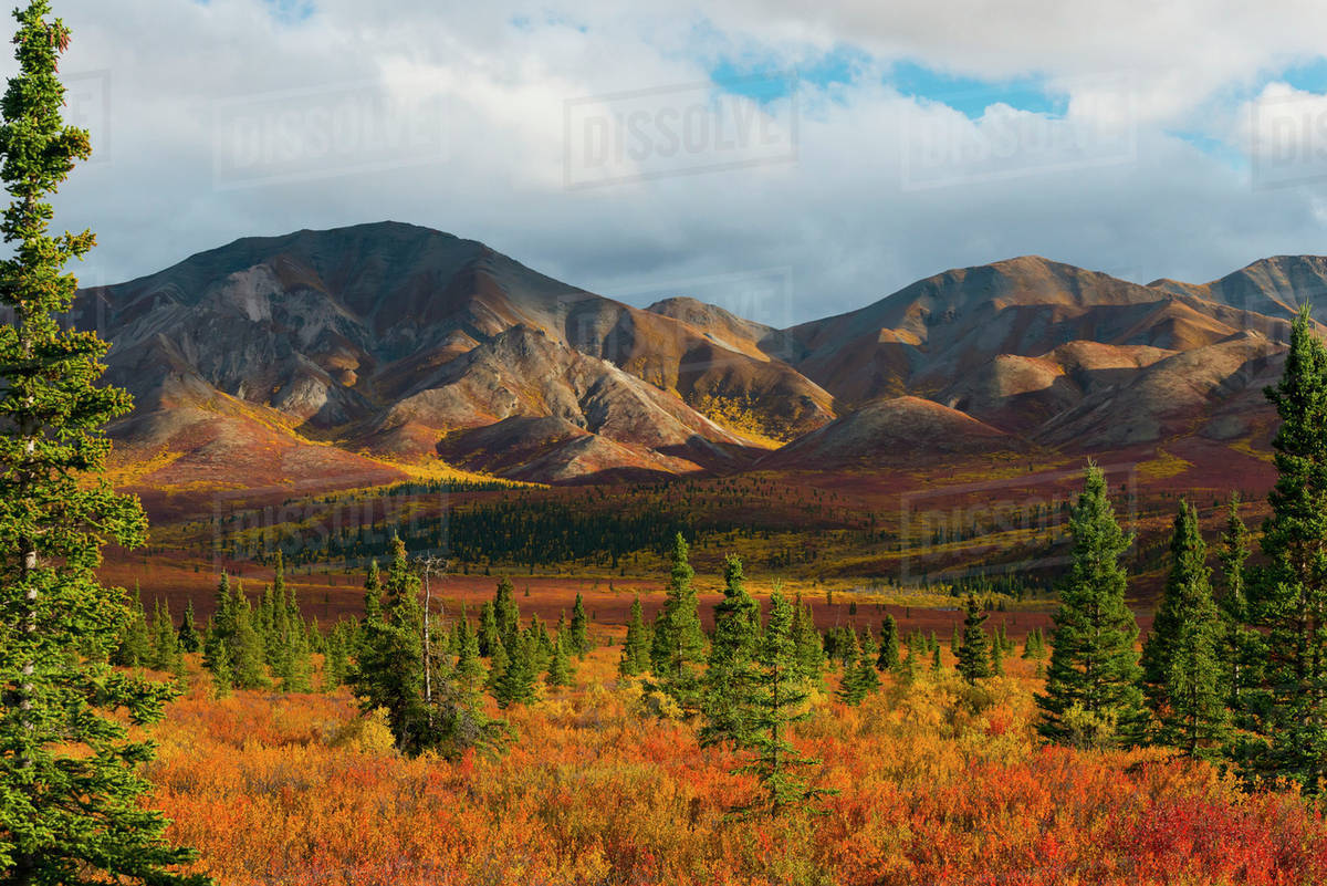 Autumn coloured foliage at the base of the mountain with storm clouds ...