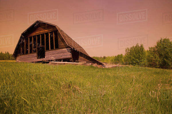 Fallen barn; Alberta, Canada - Royalty-free Stock Photo | Dissolve