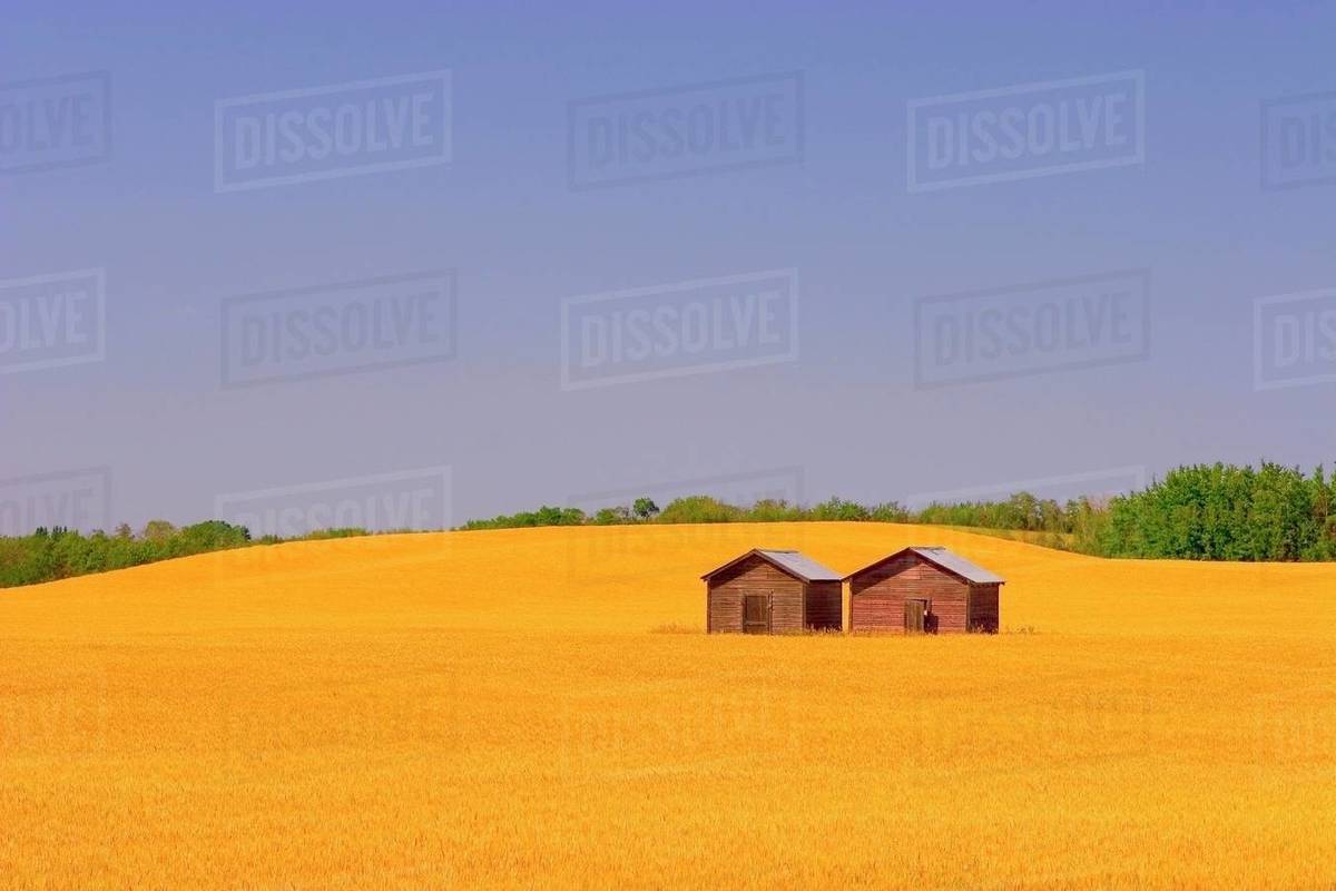A Farmer's Field - Royalty-free Stock Photo | Dissolve