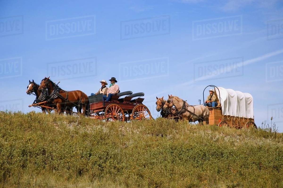 Cowboys Sitting In Chuck Wagons - Royalty-free Stock Photo | Dissolve