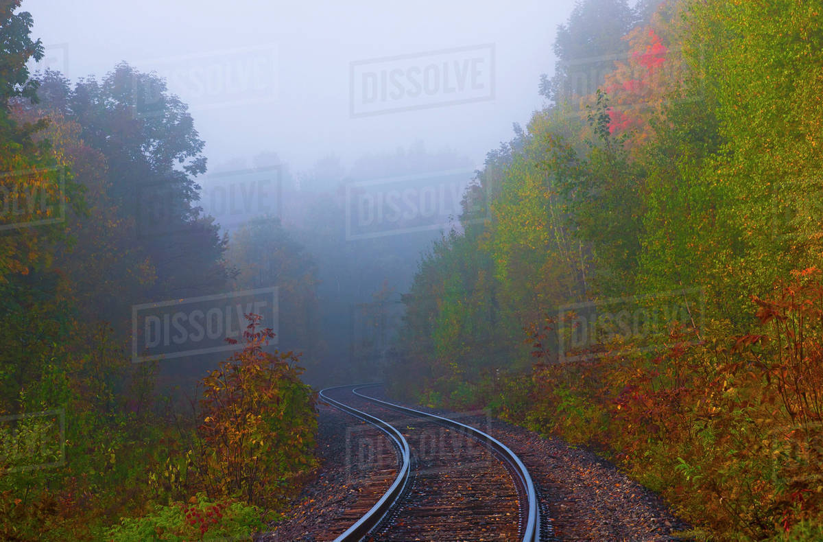 Train tracks through the foggy forest in autumn; Foster, Quebec, Canada ...