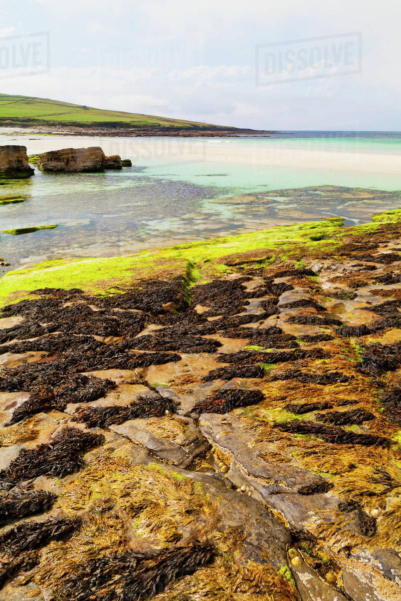Grobust Beach; Orkney, Scotland - Royalty-free Stock Photo | Dissolve