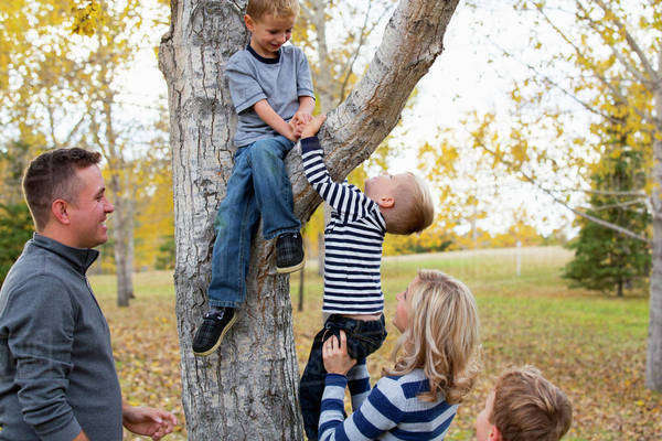 Family of young boys climbing tree under parent's supervision; Edmonton ...