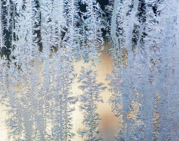 Frost patterns are captured on a frosted window pane in the early ...
