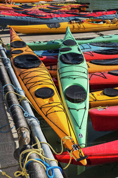 Multi-coloured kayaks together at boat dock, Prince William Sound ...