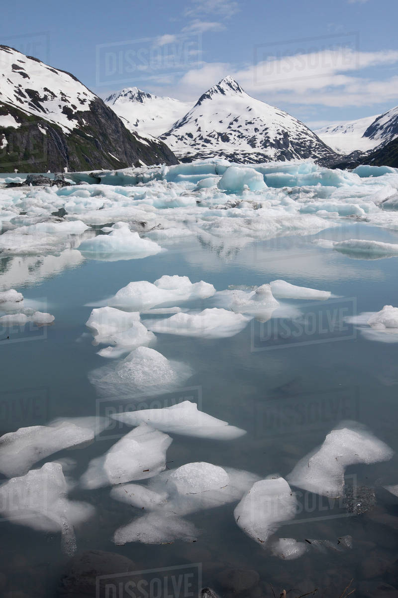 Icebergs Floating In Portage Lake With Mount Bard In The Background ...