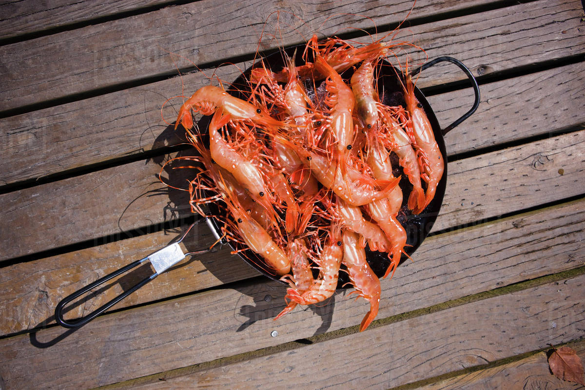 Fresh Caught Shrimp In A Pan, Shoup Bay State Marine Park, Southcentral ...
