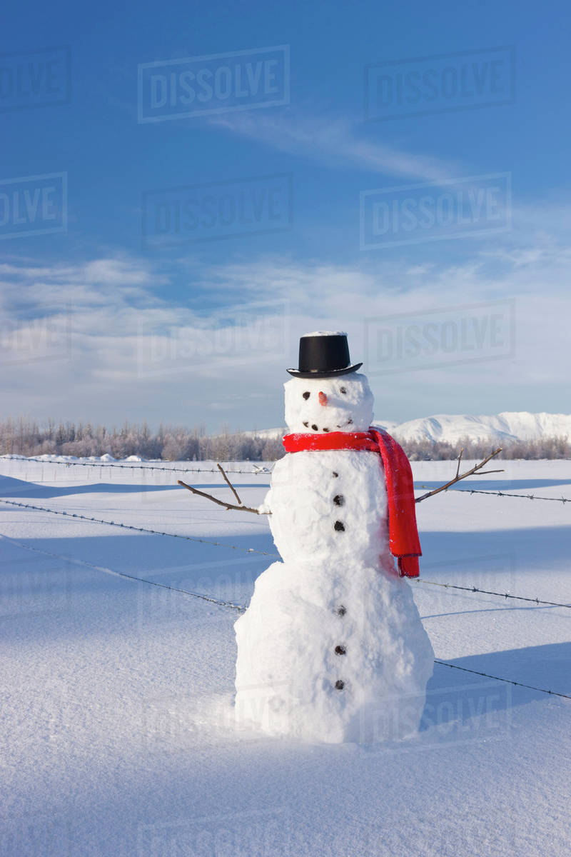 Snowman wearing a red scarf and black top hat standing in fresh snow on ...