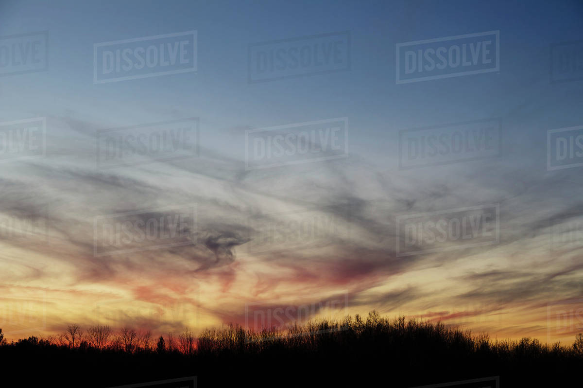 Orange sky on the horizon over a silhouetted forest at sunset;Ohio ...