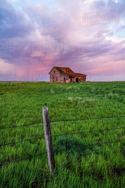 Abandoned barn on farmland with storm clouds glowing pink; Val Marie ...