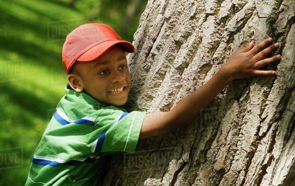 Boy Hugging Tree Trunk - Royalty-free Stock Photo | Dissolve