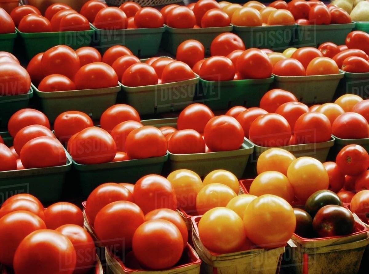 Baskets Of Tomatoes - Royalty-free Stock Photo | Dissolve