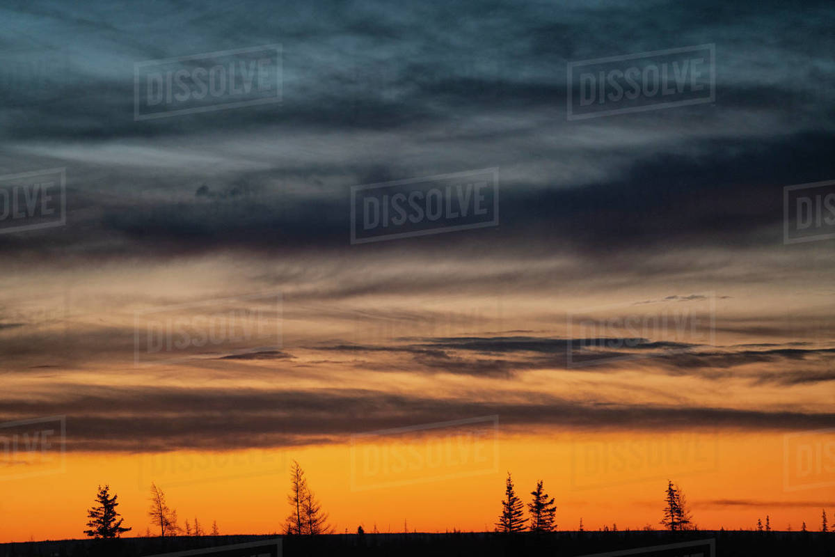 Sunrise over the boreal forest and frozen lake along the shore of ...