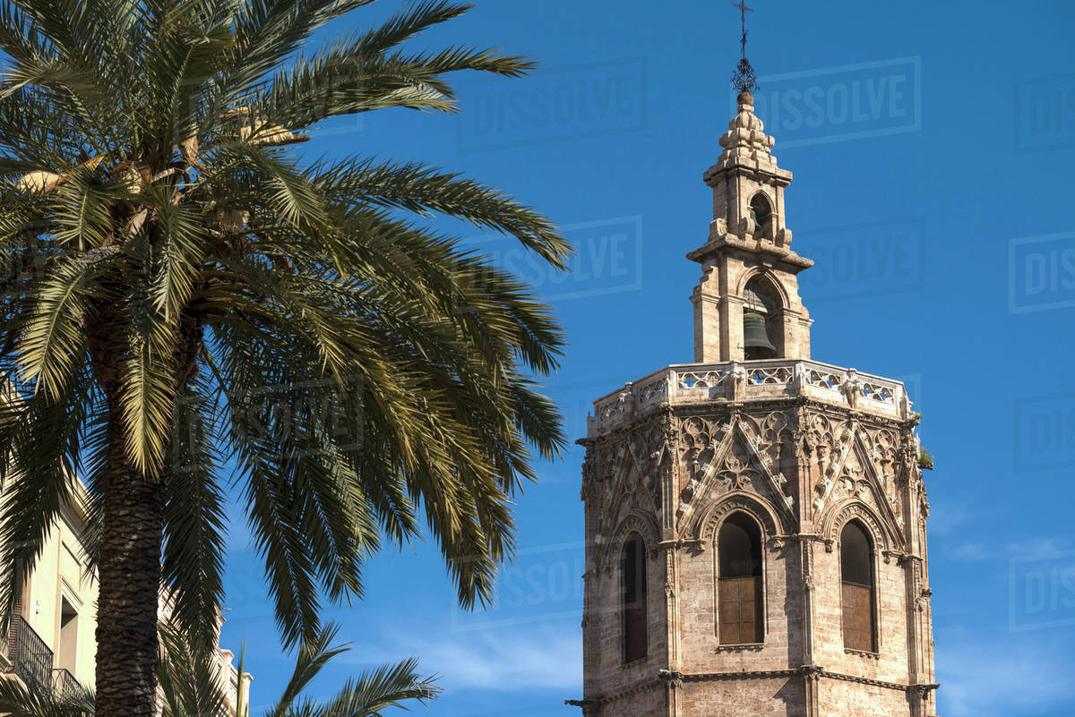The miguelete the tower of the cathedral of valencia above palm trees ...