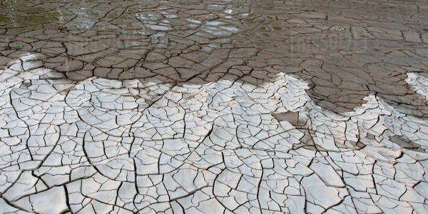 Dry cracked ground with water soaking into it - Royalty-free Stock ...